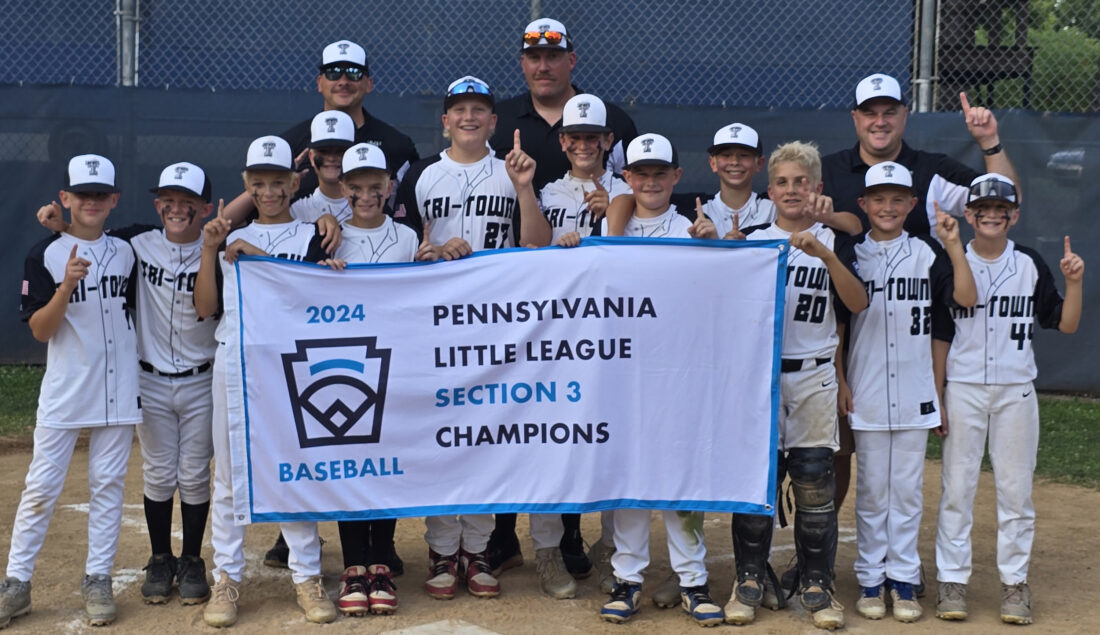 Tri-Town majors win Section 3 title, advance to state tournament | News ...